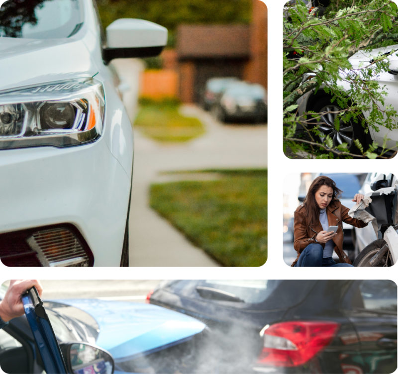 Progress Vehicle Management